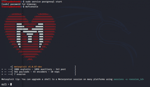Mengenal Apa Itu Metasploit dan Fungsianya - Gabut-IT